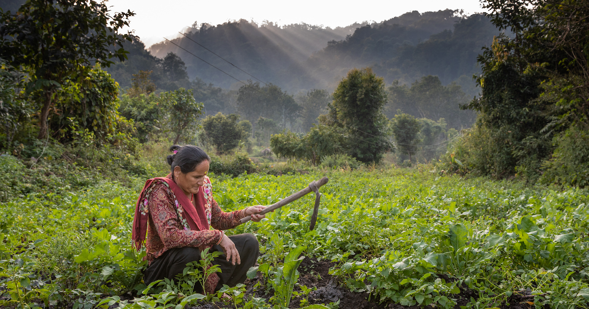 AidData — A Research Lab at William & Mary